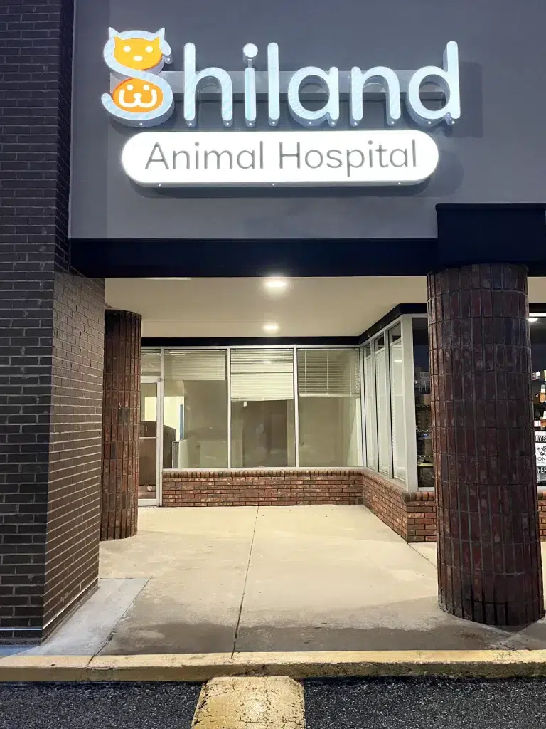 Veterinarian Rock Hill, SC | Shiland Animal Hospital