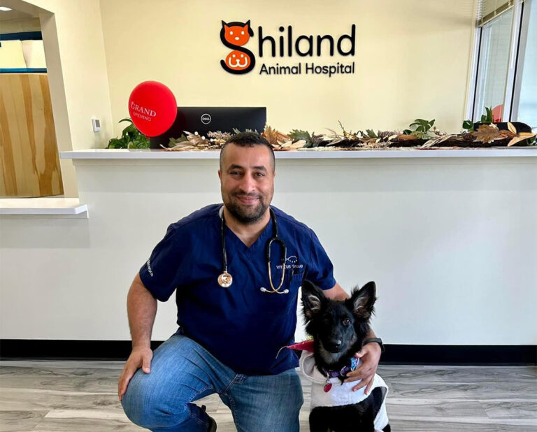 Shiland Animal Hospital | Veterinarian Rock Hill, SC