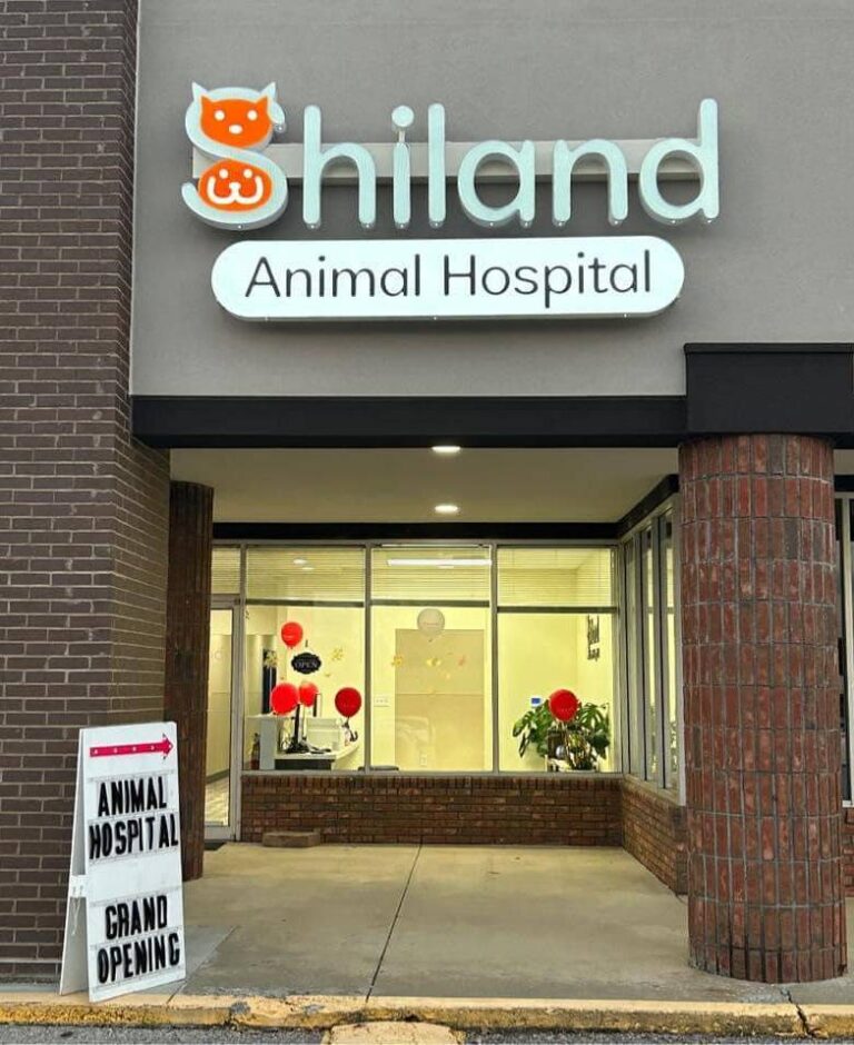 Shiland Animal Hospital | Veterinarian Rock Hill, SC